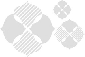 Our Subsidiaries & Associates - BIBD