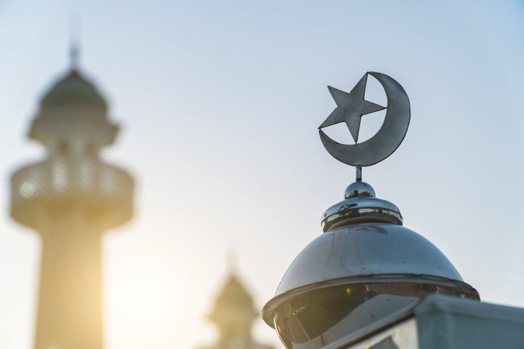 Asset Management - BIBD