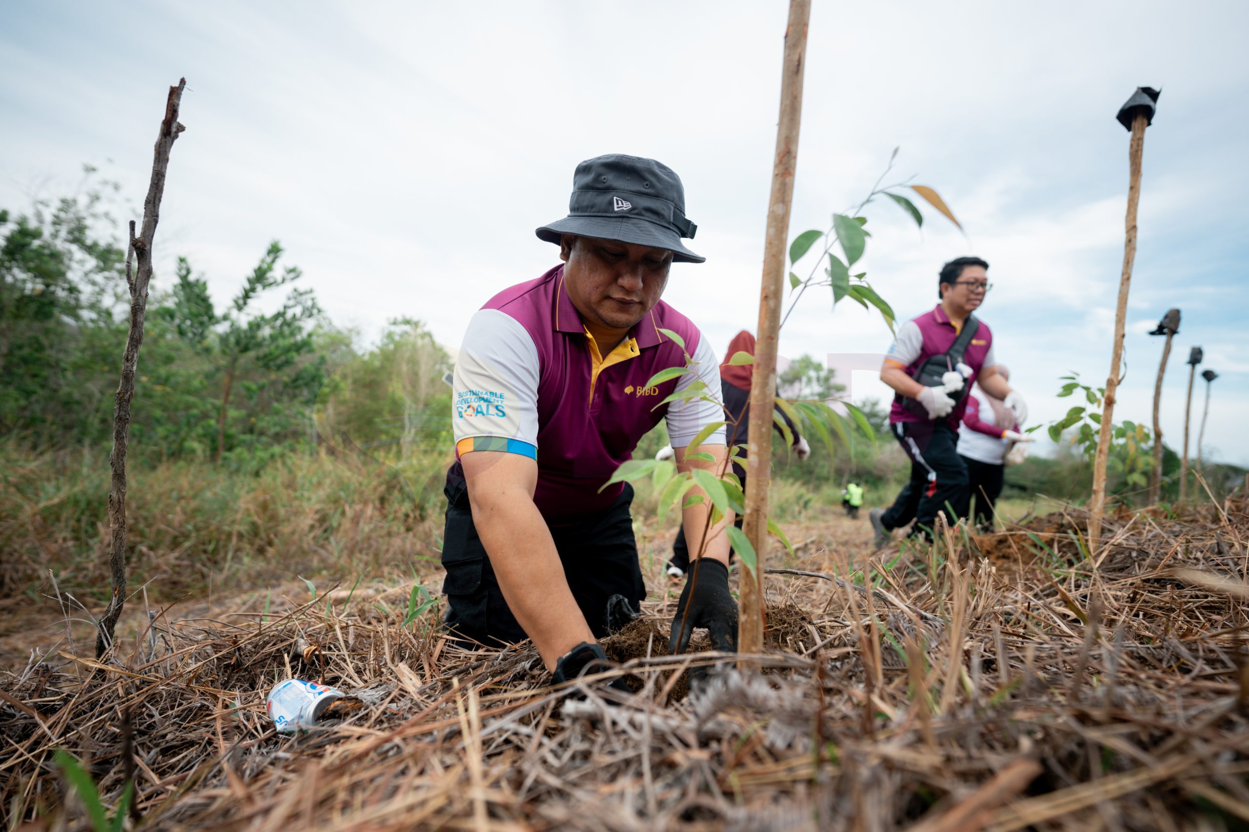 BIBD Holds Tree Planting Event As Part Of Alam Mampan Project - BIBD